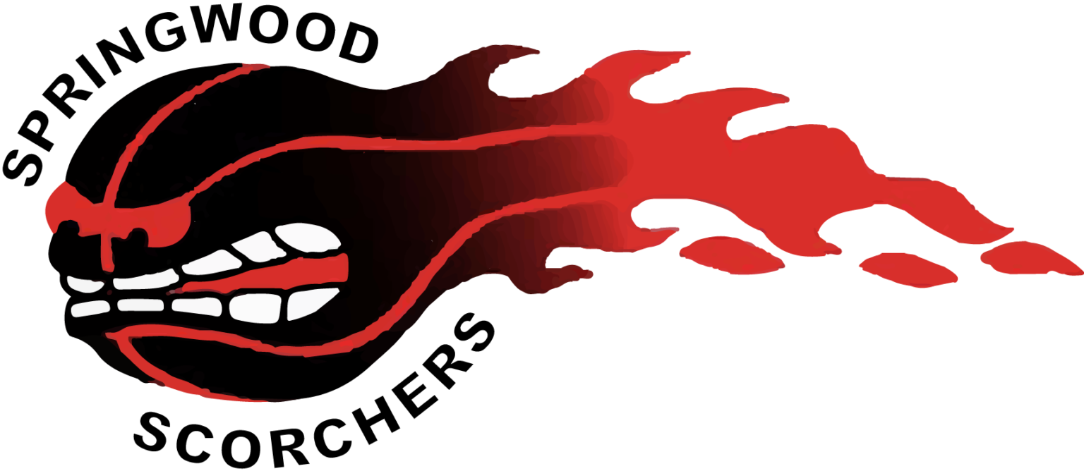 Transition to Basketball Connect – Info + FAQ | Springwood & Districts ...